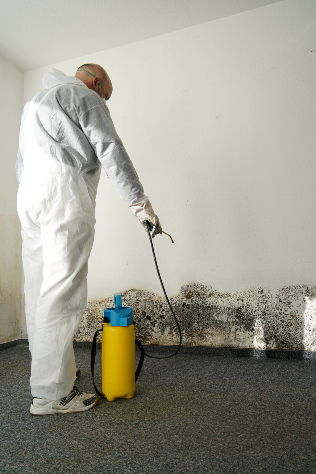 How Long Does Mold Remediation Take? - Expert Guide